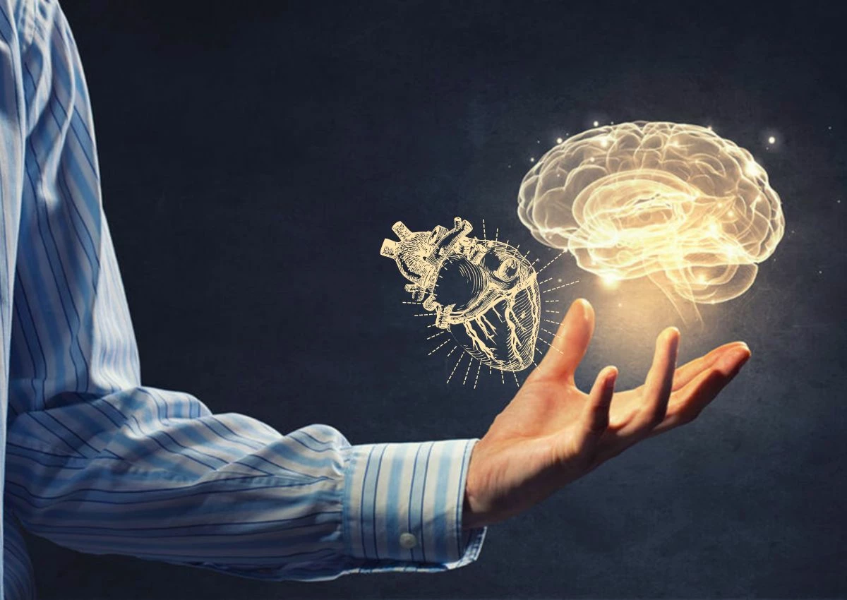 Neuromarketing, Persuade a decision maker: How the brain makes ...